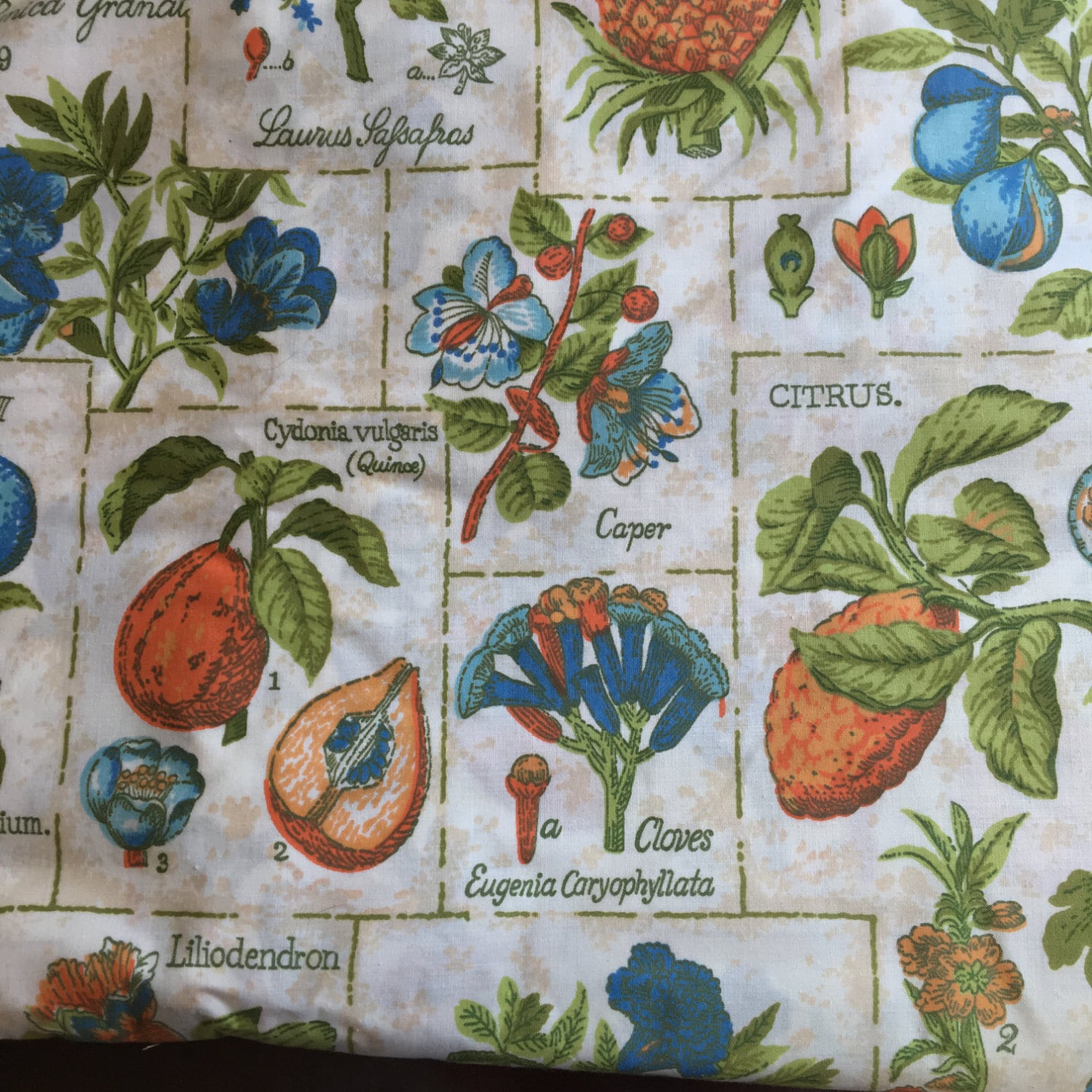 Vintage Fabric Piece Botanical: Fruits and Plants With - Etsy