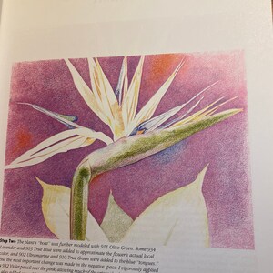 Basic Colored Pencil How to Draw Paint Bet Burgeon Art - Etsy