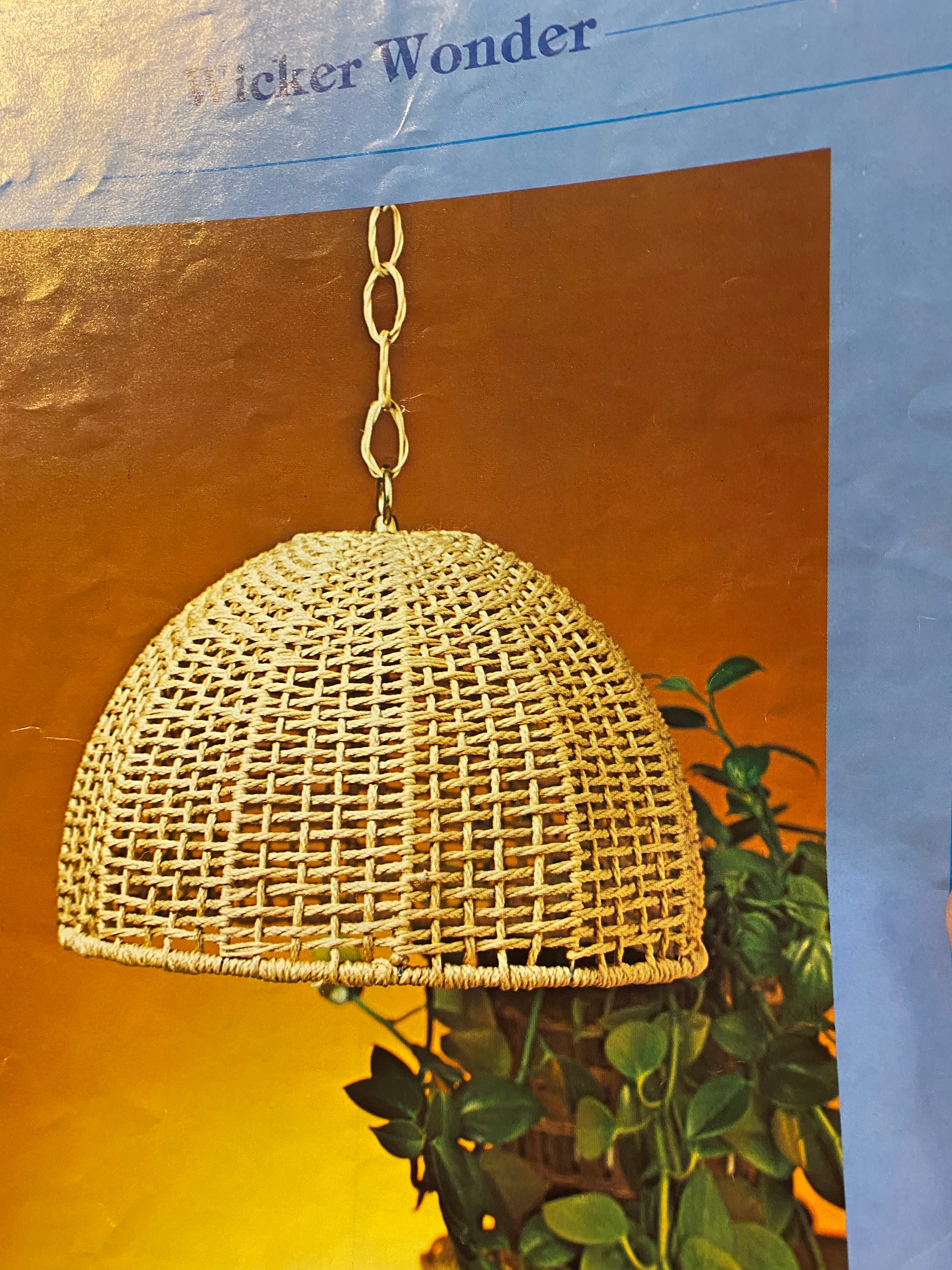 Lamp Shades Macrame Lightly / Plant Hangers Home Decorating Ideas - C ...