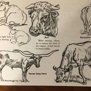 Drawing Animals by Victor Perard, Techniques, Guide to Sketching to ...