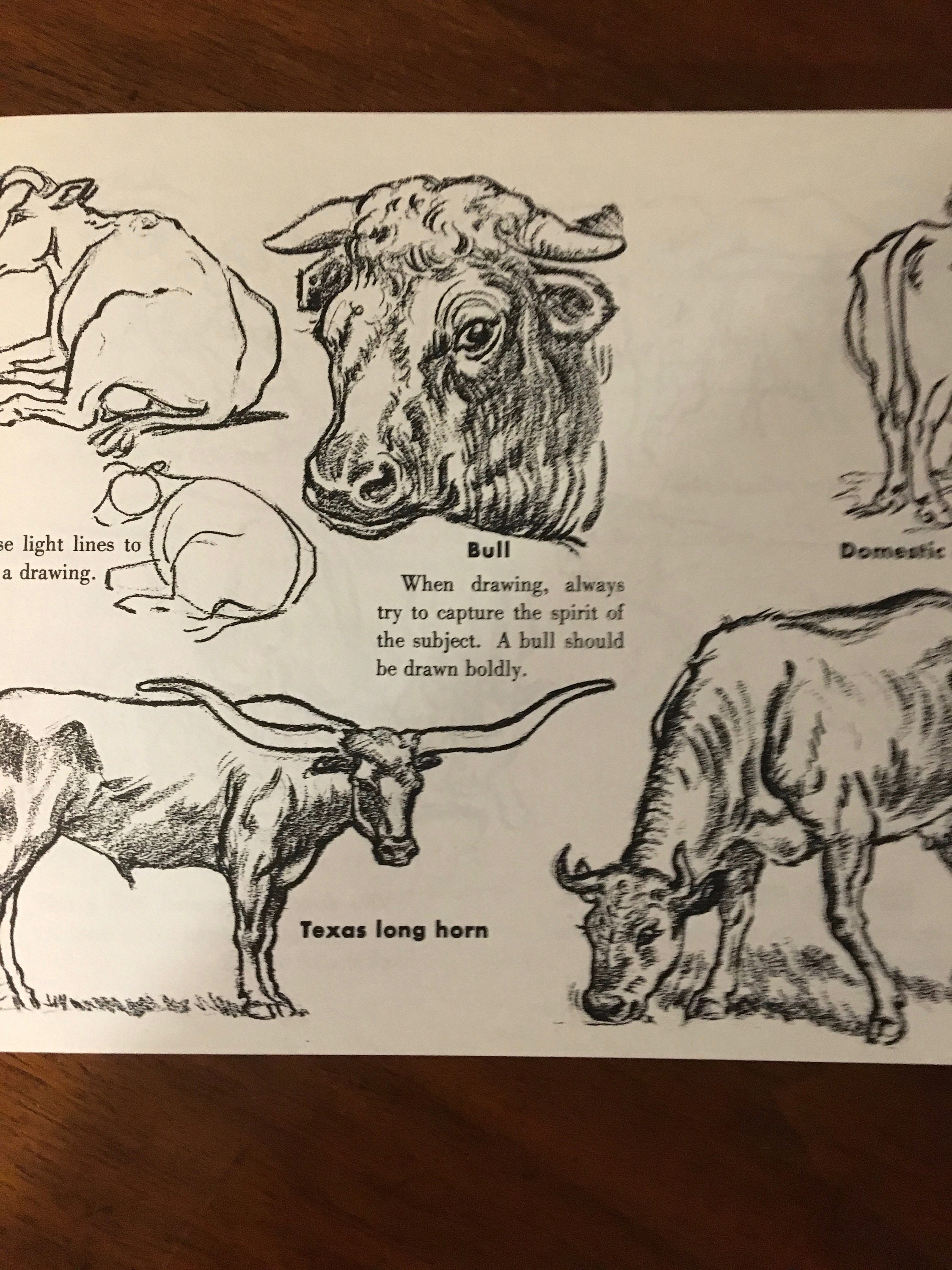 Drawing Animals by Victor Perard Techniques Guide to - Etsy