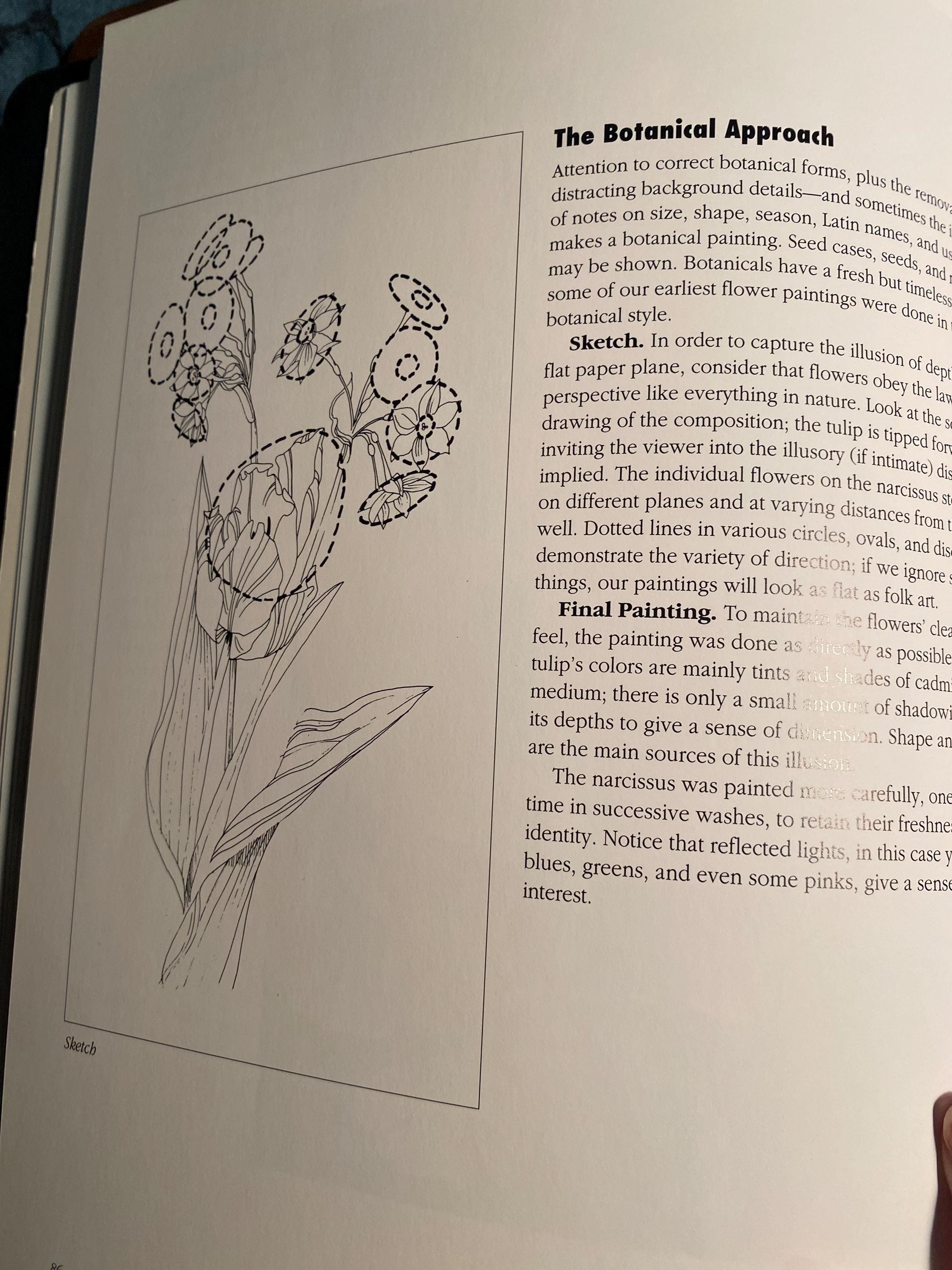 Basic Watercolor Painting Techniques - Greg Albert / Rachel Wolf - 1991 ...