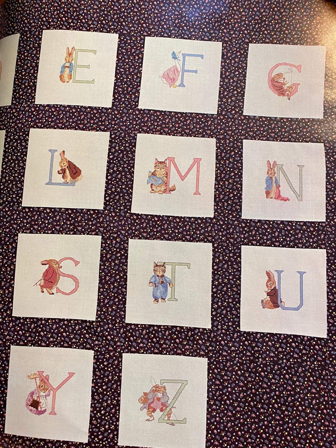 Beatrix Potter Peter Rabbit Needlepoint Cross Stitch Counted - Etsy