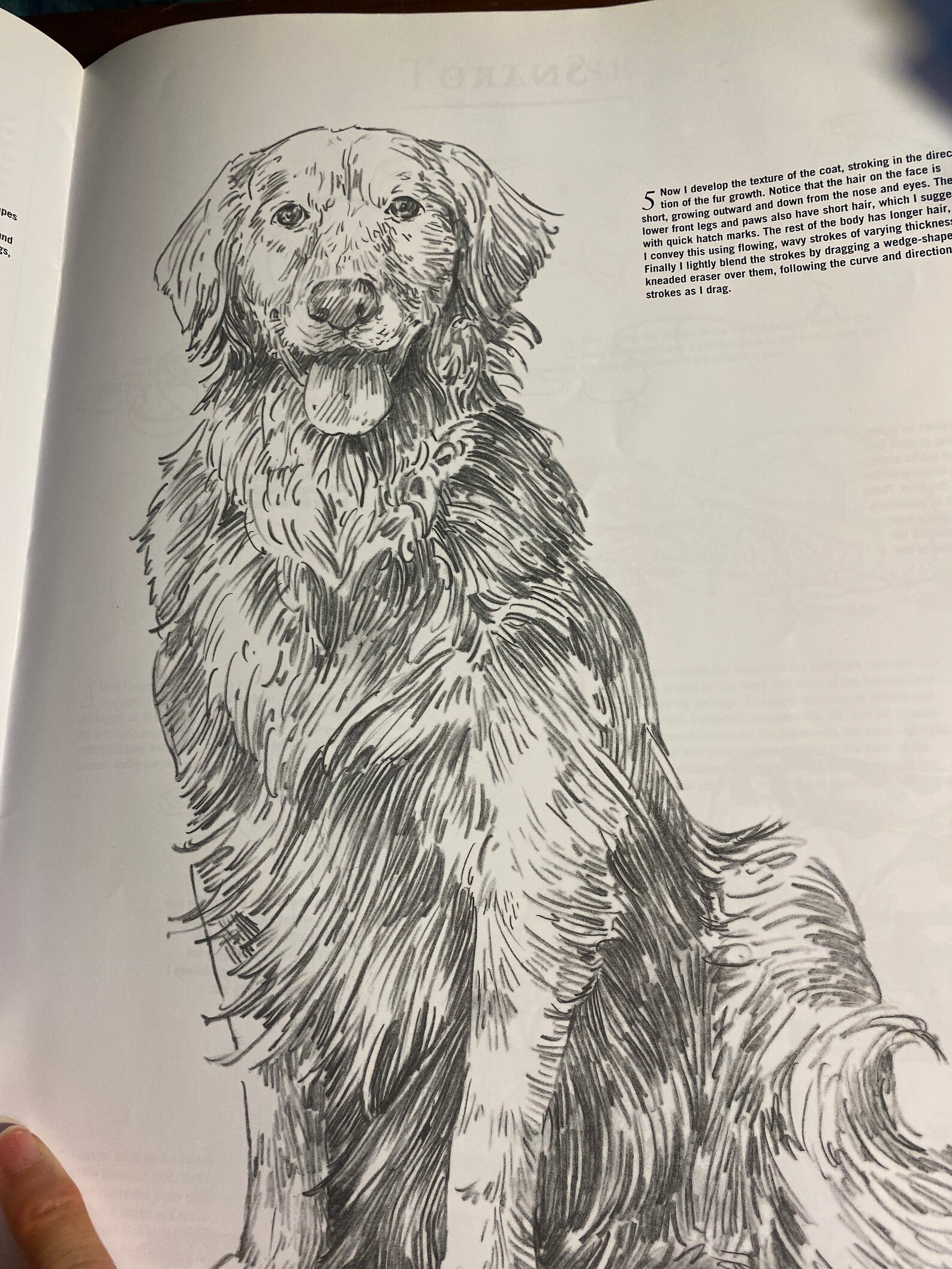 How to Draw Pets (pencil) - Walter Foster HT286 - Art Instruction ...