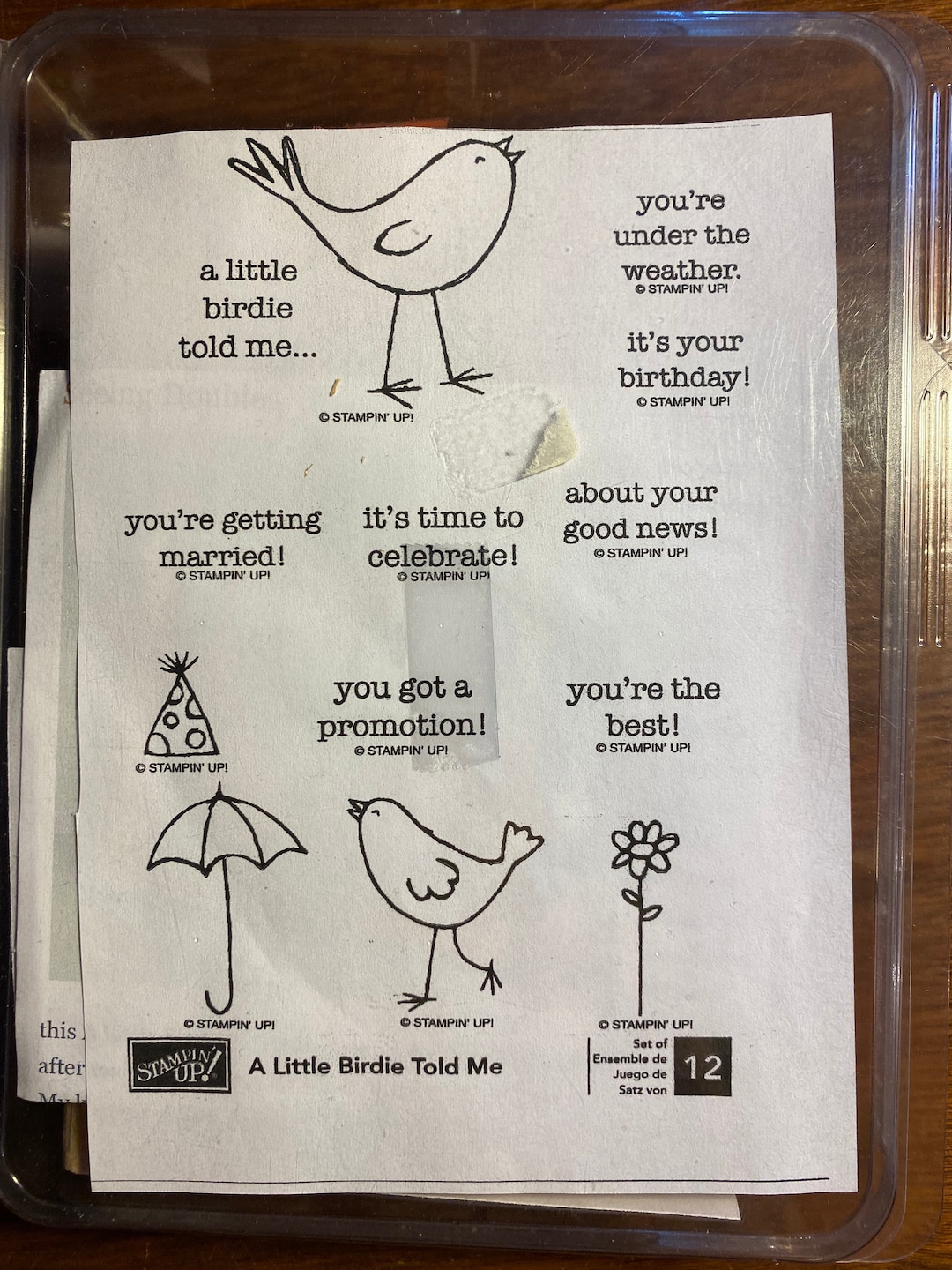 Stampin UP Rubber Stamp Blocks A Little Birdie Told Me Set of 12 Paper ...