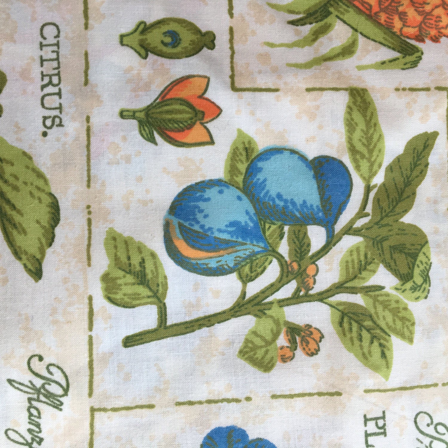 Vintage Fabric Piece Botanical: Fruits and Plants With - Etsy