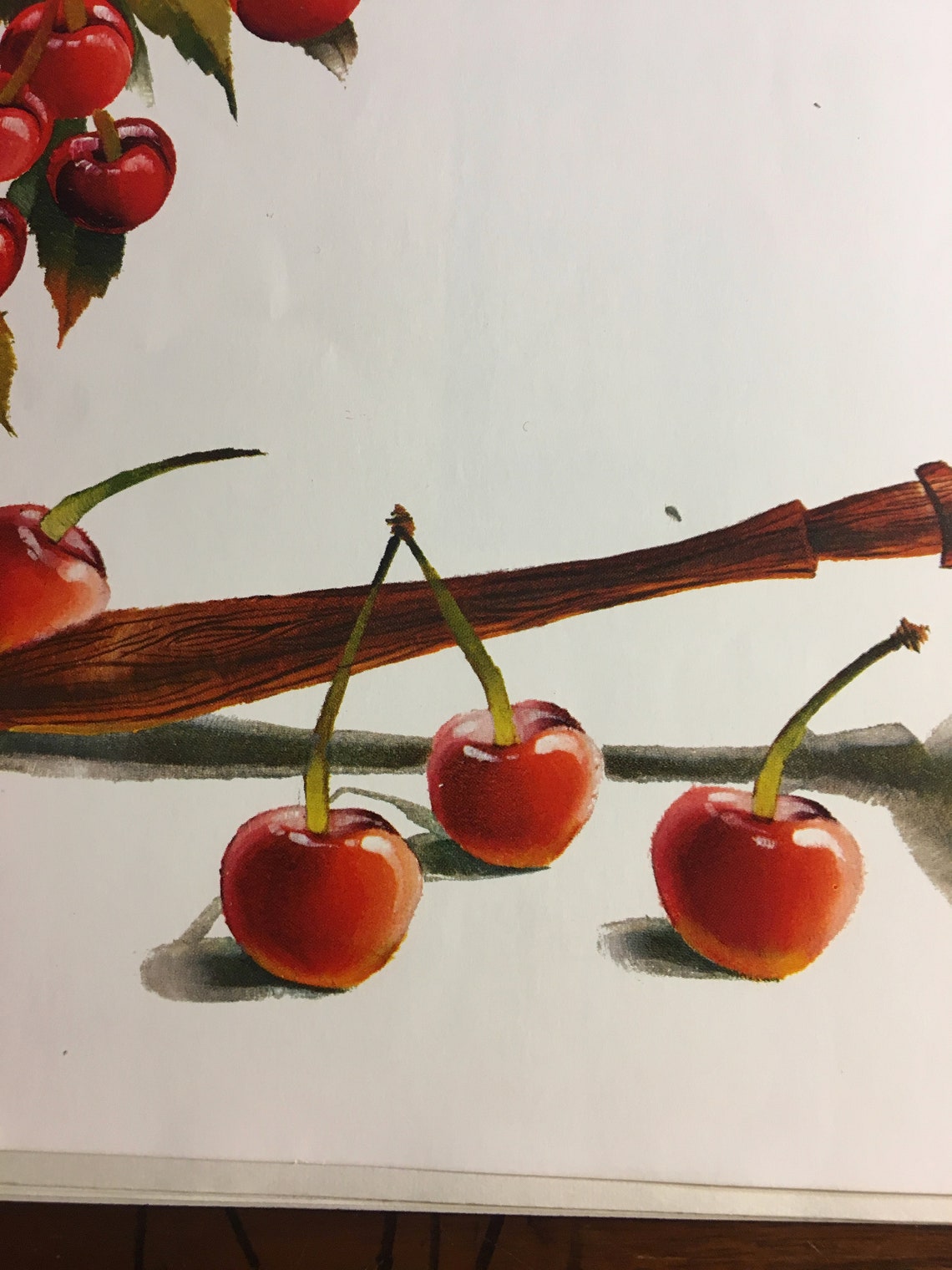 Cherries Color Pattern Lesson Packet No. 12 - Folk Art Designs ...