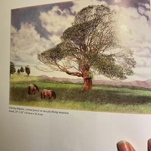 Basic Colored Pencil How to Draw Paint Bet Burgeon Art - Etsy