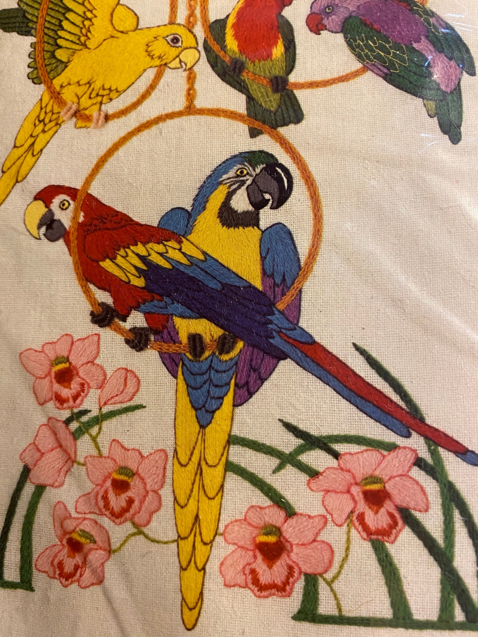 Tropical Aviary Birds - Dimensions Crewel Embroidery Stitchery Kit 1248 ...