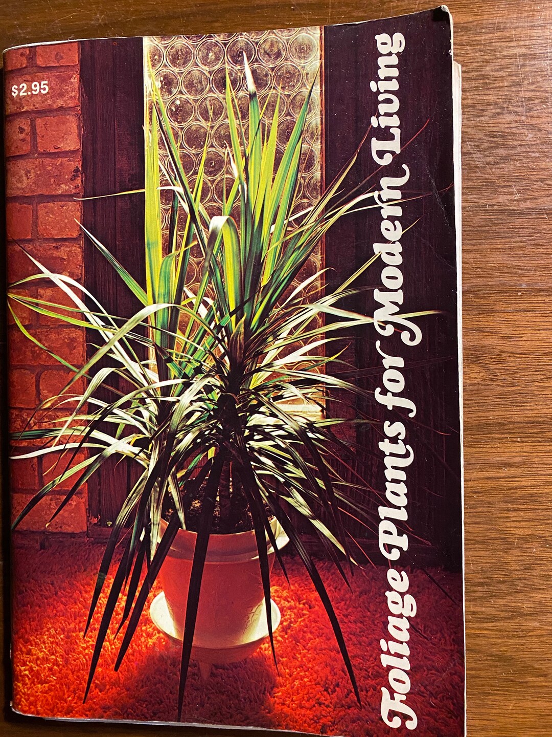 Foliage Plants for Modern Living - House Plants Indoor - Leslie Johns ...