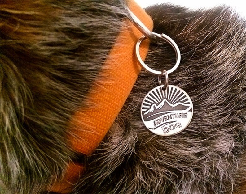 Dog Tag - Adventure Dog in Nickel Silver or Brass - Etsy