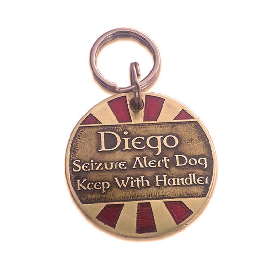 Dog Tag Sunburst in Red Dog Tags for Dogs Pet ID Tags | Etsy