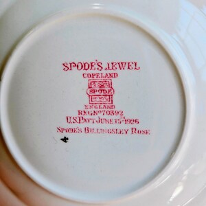 Spode's Jewel-copeland Teacup and Saucer "billingsley Rose" - Etsy