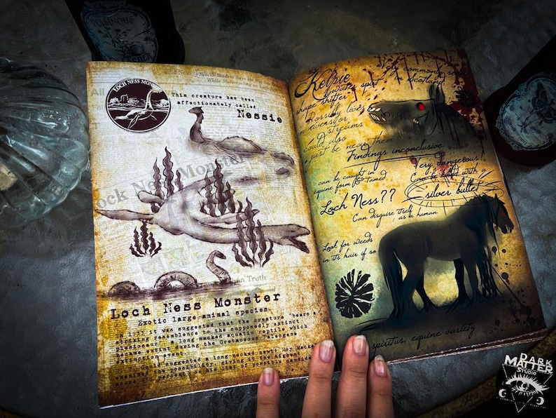 Cryptid Studies: A Collection of Illustrations & Journal Entries | Art ...