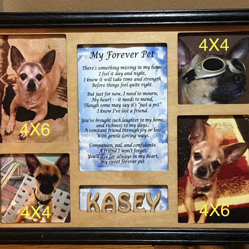 Pet Memorial Frame - Etsy