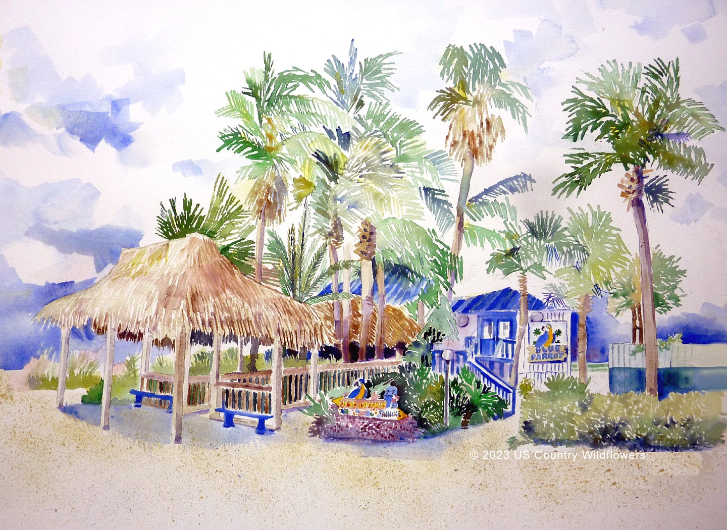 Blue Parrot, St. George Island, Florida. Matted Print 11x14" by Artist ...