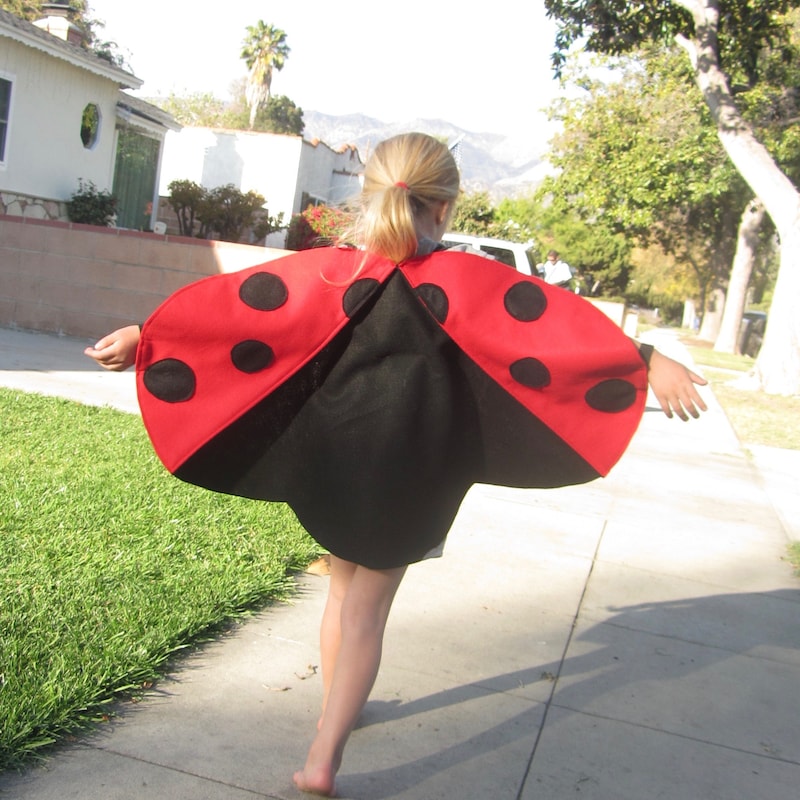Ladybug Dress Costume - Etsy
