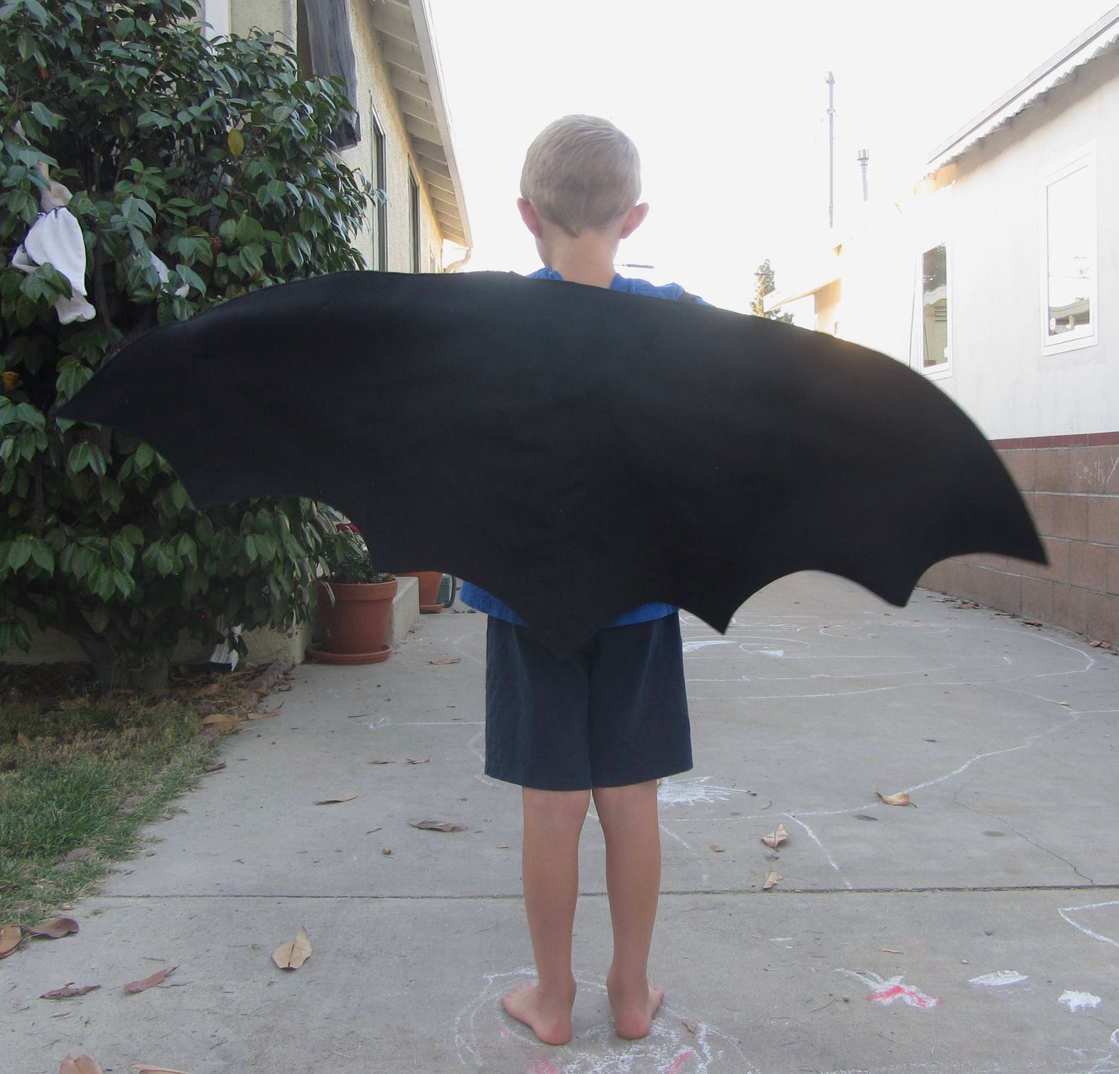 Bat Wings Dragon Wings Children's Pretend Play and - Etsy