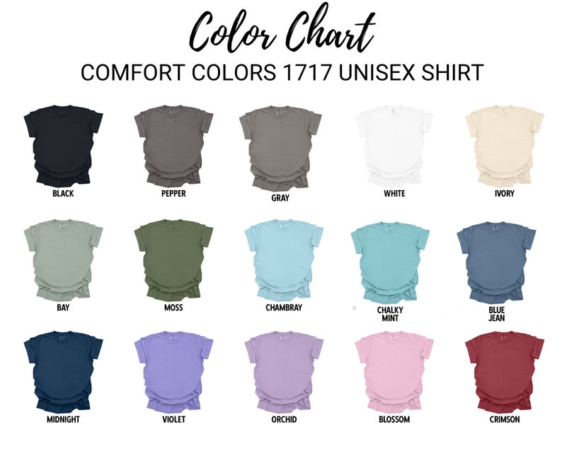 Female Rage, the Musical TTPD Eras Tour Tee, Taylor Comfort Colors Tee ...