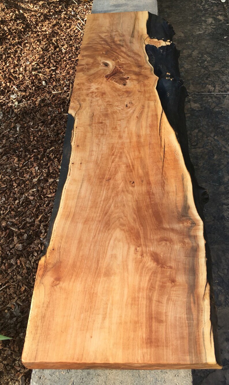 Soldgorgeous Maple Burl Bar Top | Etsy