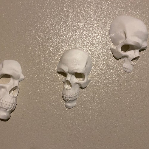 Skulls Wall Decor Skeleton White Skull Wall Art Wall Hanging - Etsy