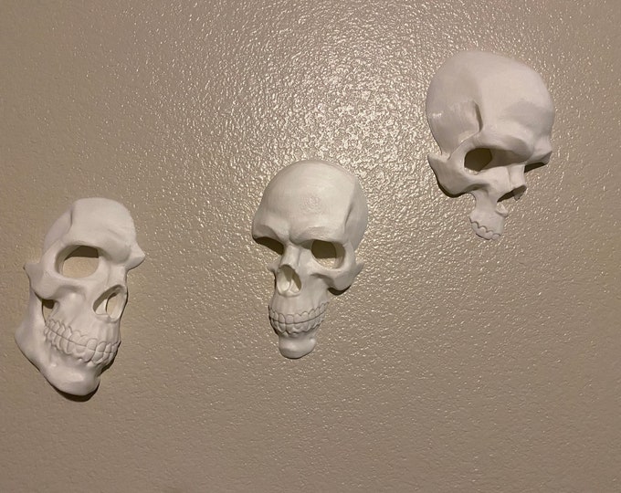 Skulls Wall Decor Skeleton White Skull Wall Art Wall Hanging Skulls 3D ...