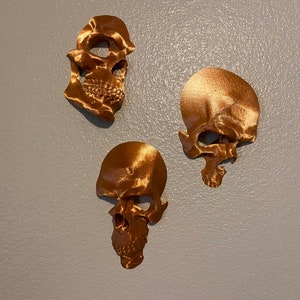 Skulls Wall Decor Skeleton White Skull Wall Art Wall Hanging Skulls 3D ...