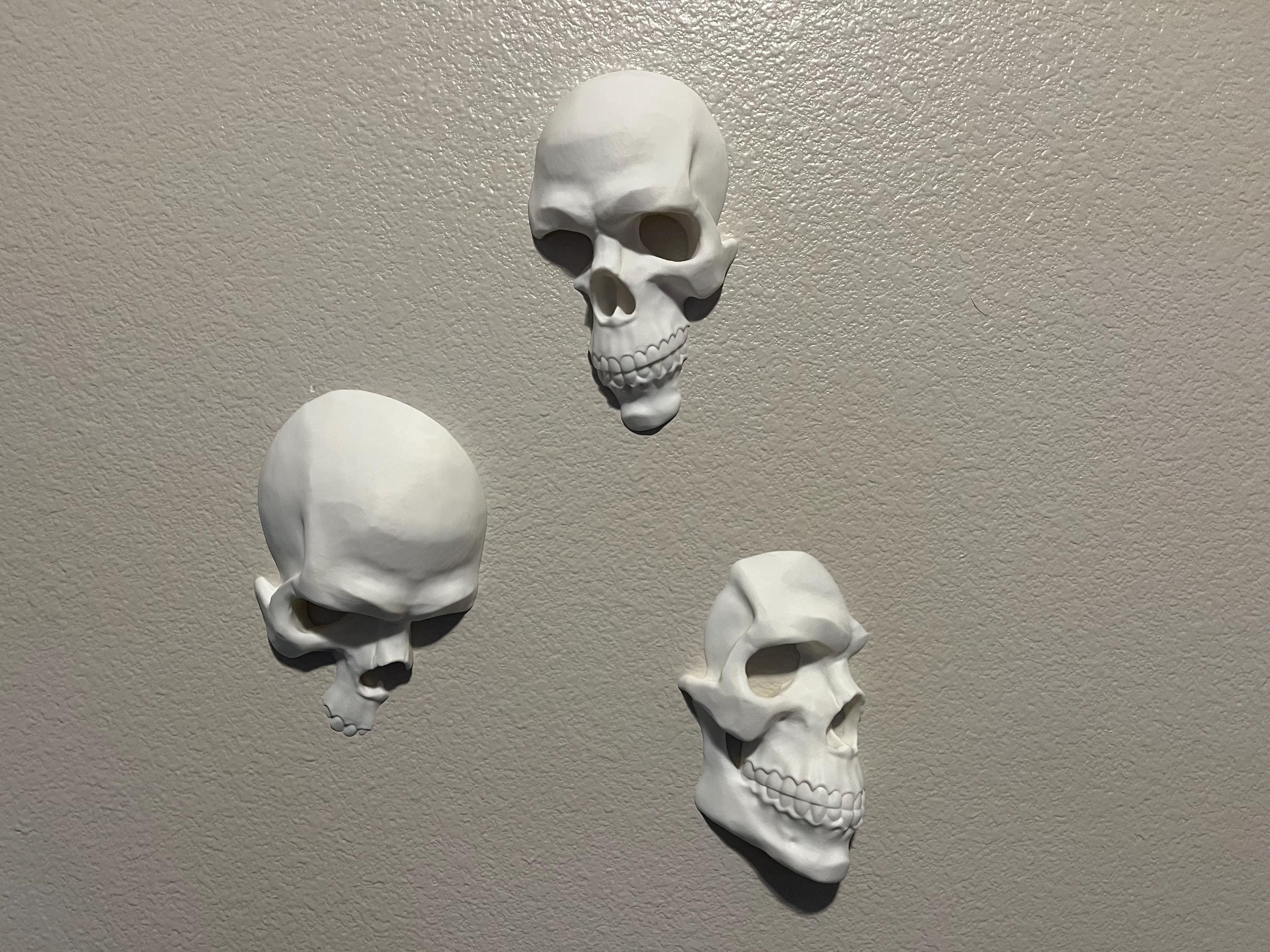 Skeleton Wall Panel Texture Seamless Free Skull Wood Carving Image