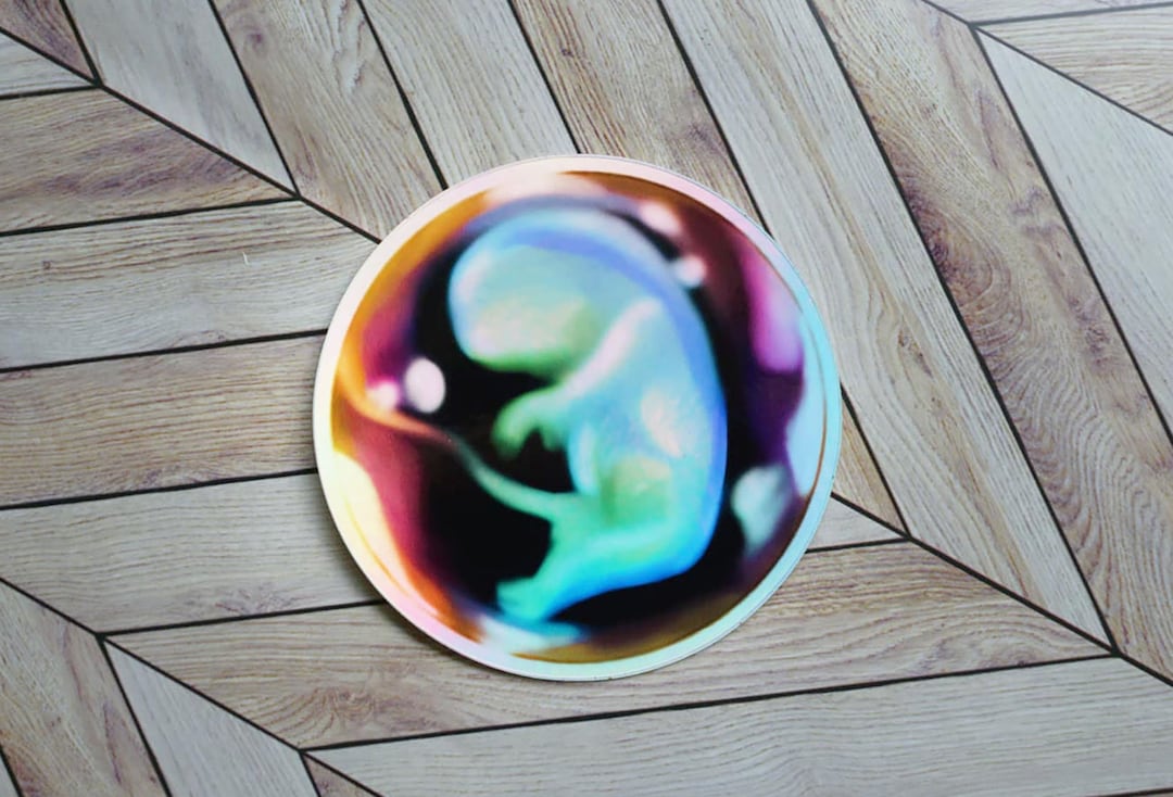 Colorful Baby Bubble Sticker | Pregnancy | Pro-life Sticker ...