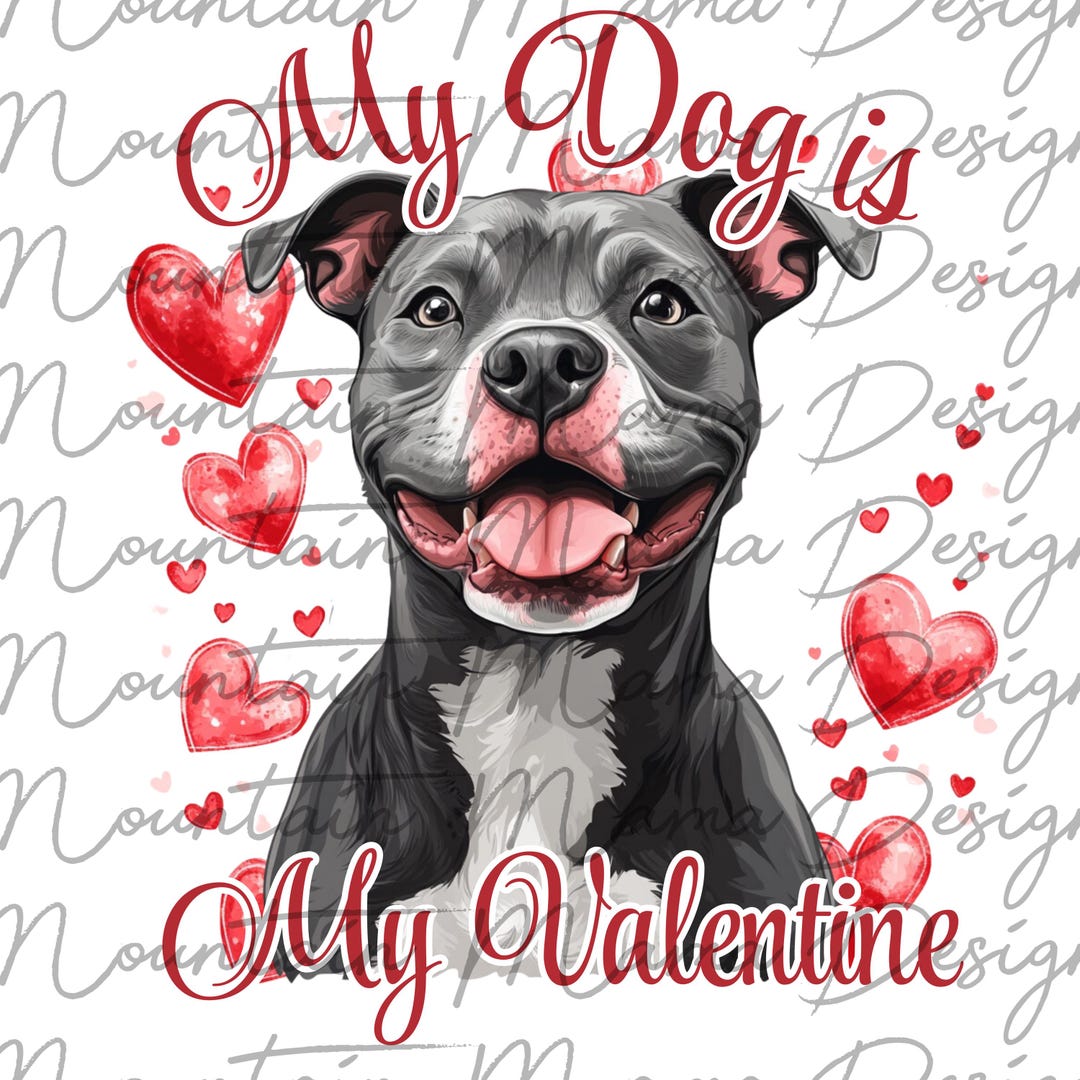 Pitbull Valentines PNG | My Dog is My Valentine PNG | Valentines PNG ...