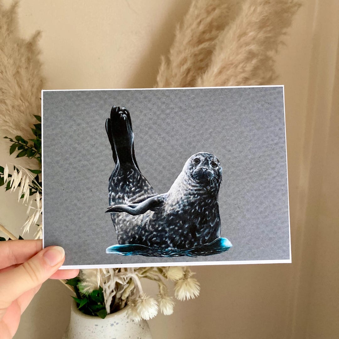 Seal Art Print, U Shape Seal in Coloured Pencil on Toned Paper, 7” X 5 ...