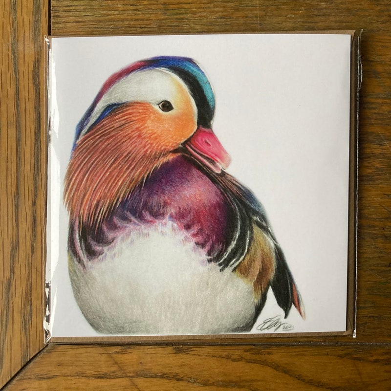 Mandarin Duck Art - Etsy