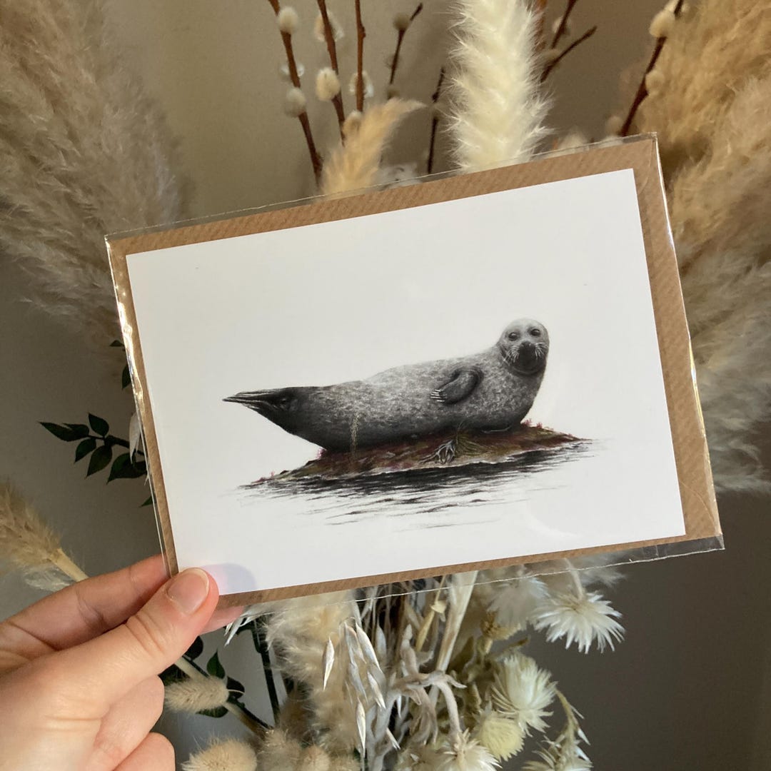 Seal “banana Pose” Blank Greetings Card Coastal Cornwall Coloured ...