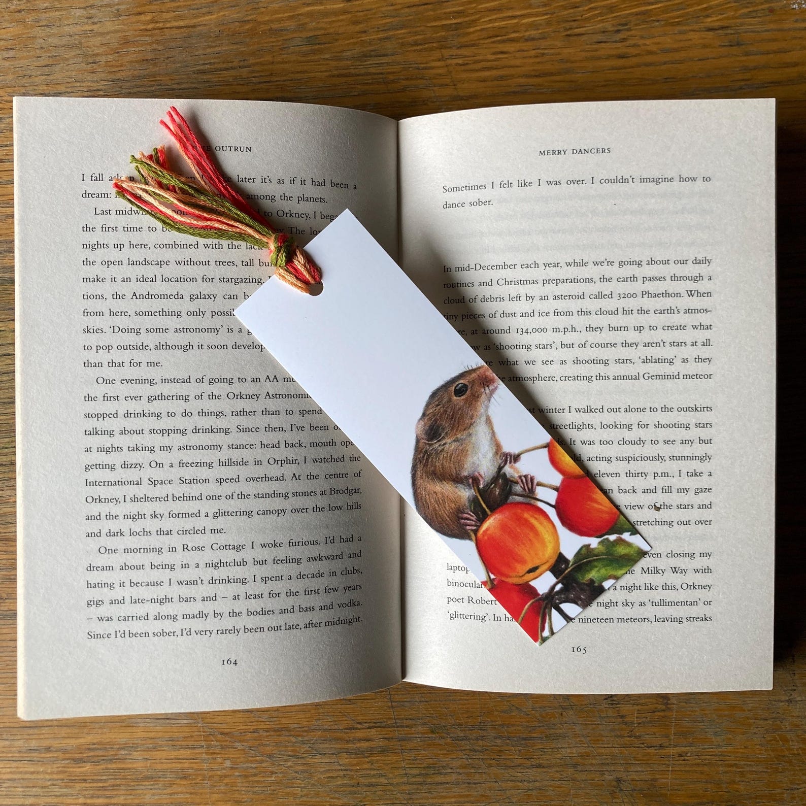 Mouse and Apples Bookmark With Colourful Tassel. Coloured Pencil ...