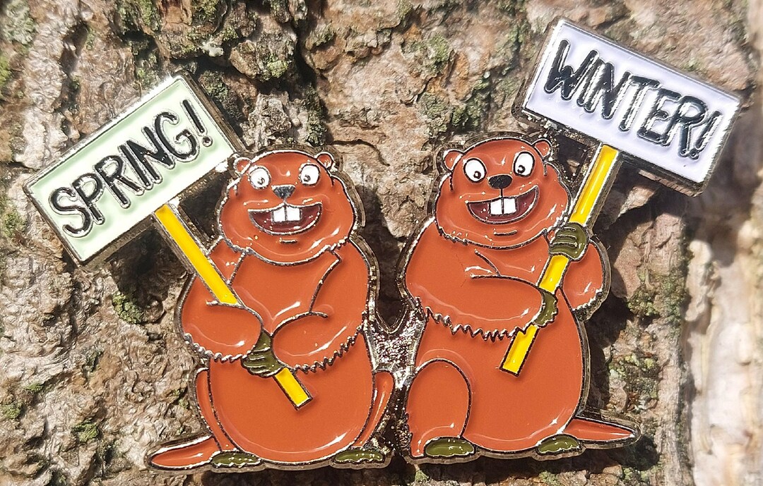 Groundhog Day Pin Punxsutawney Phil Pin Groundhog Pin FREE SHIPPING ...