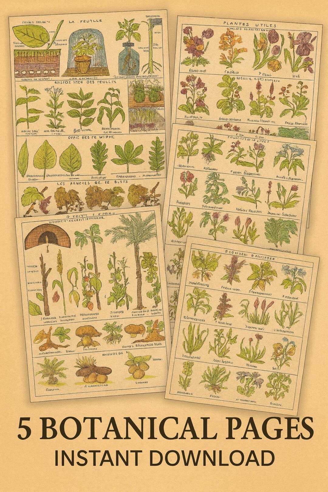 Antique Botanical Prints French Plant Book, 5 Printable Herbarium ...
