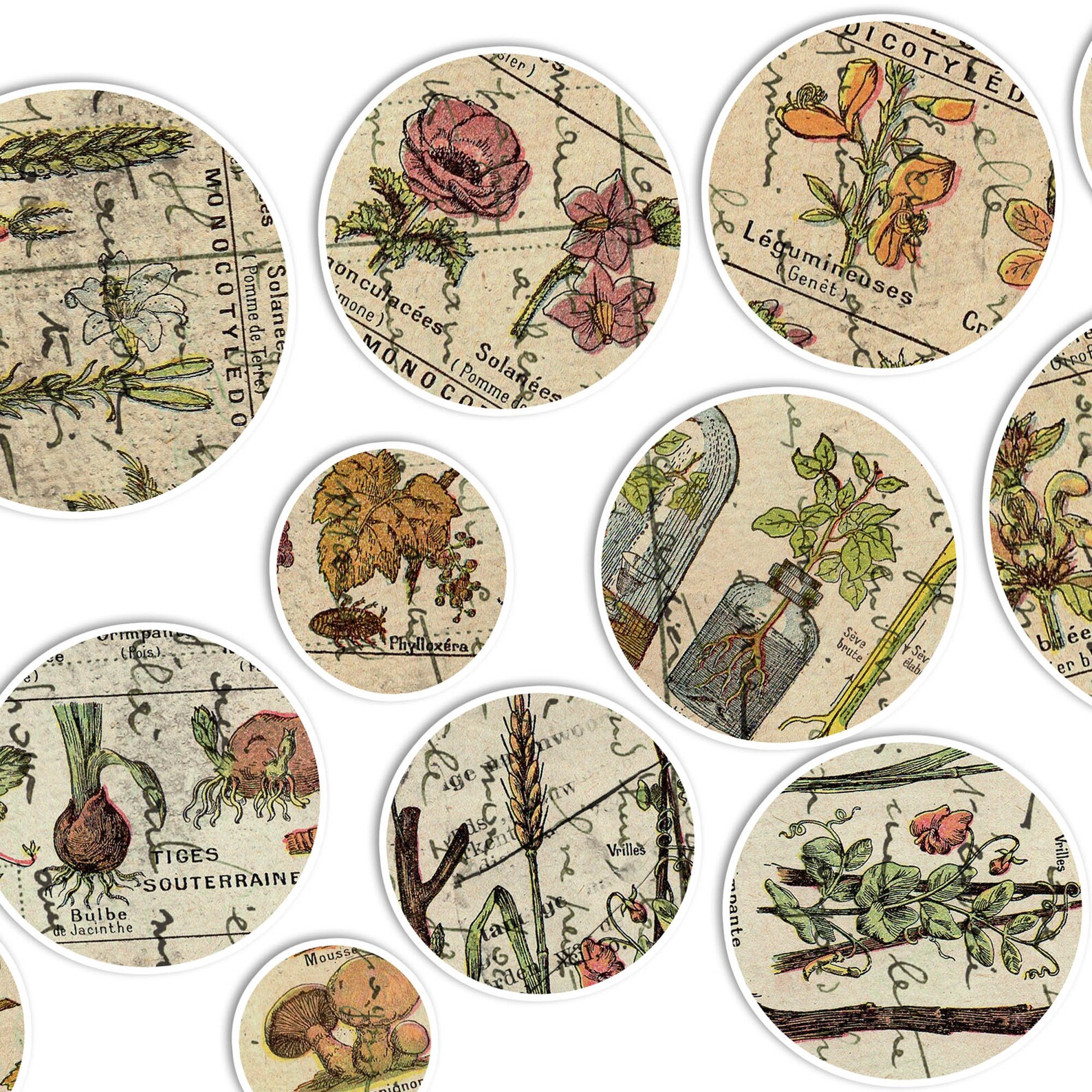 Printable Sticker Sheet Digital Botanical Sticker Sheet - Etsy