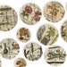 Printable Sticker Sheet Digital Botanical Sticker Sheet, French Vintage ...