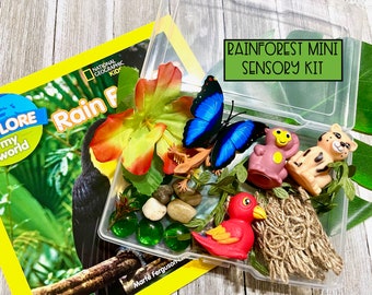 Rainforest Kit - Etsy