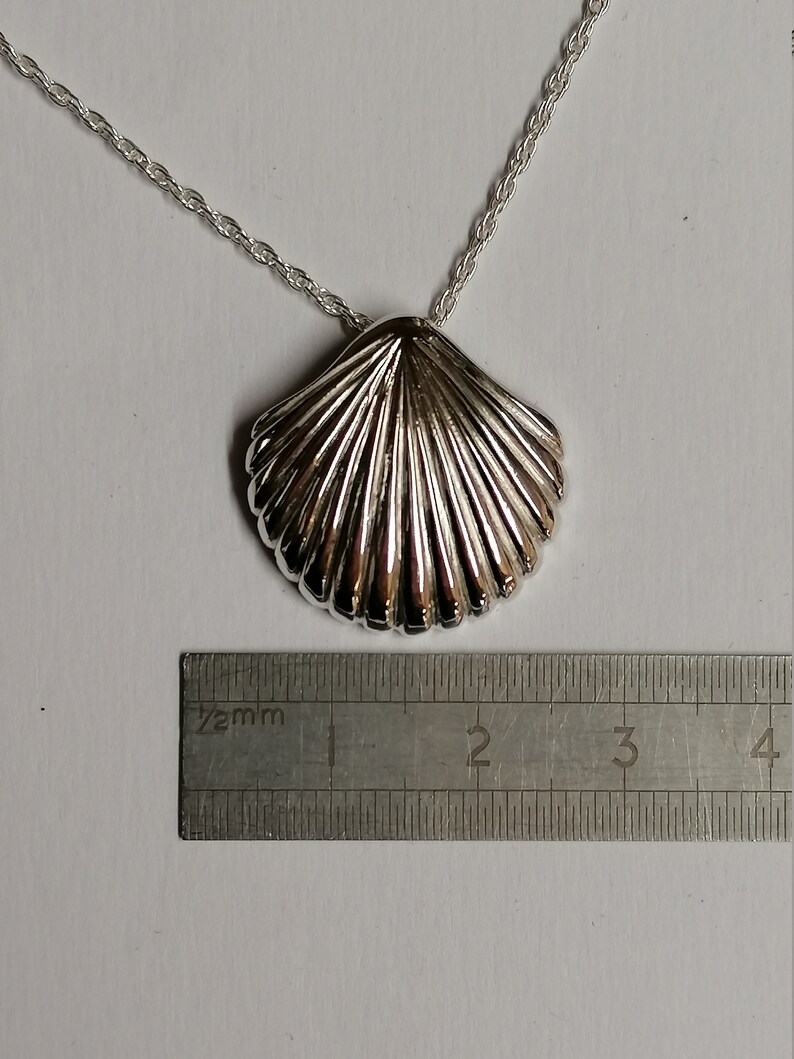 Sea Shell Pendant Made From Silver - Etsy