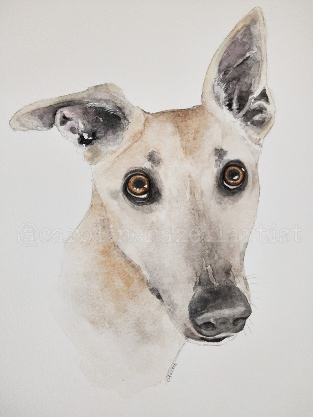 Fawn Greyhound Print - Etsy