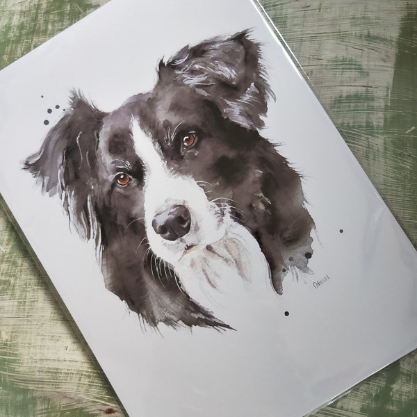 Border Collie Print - Etsy Australia