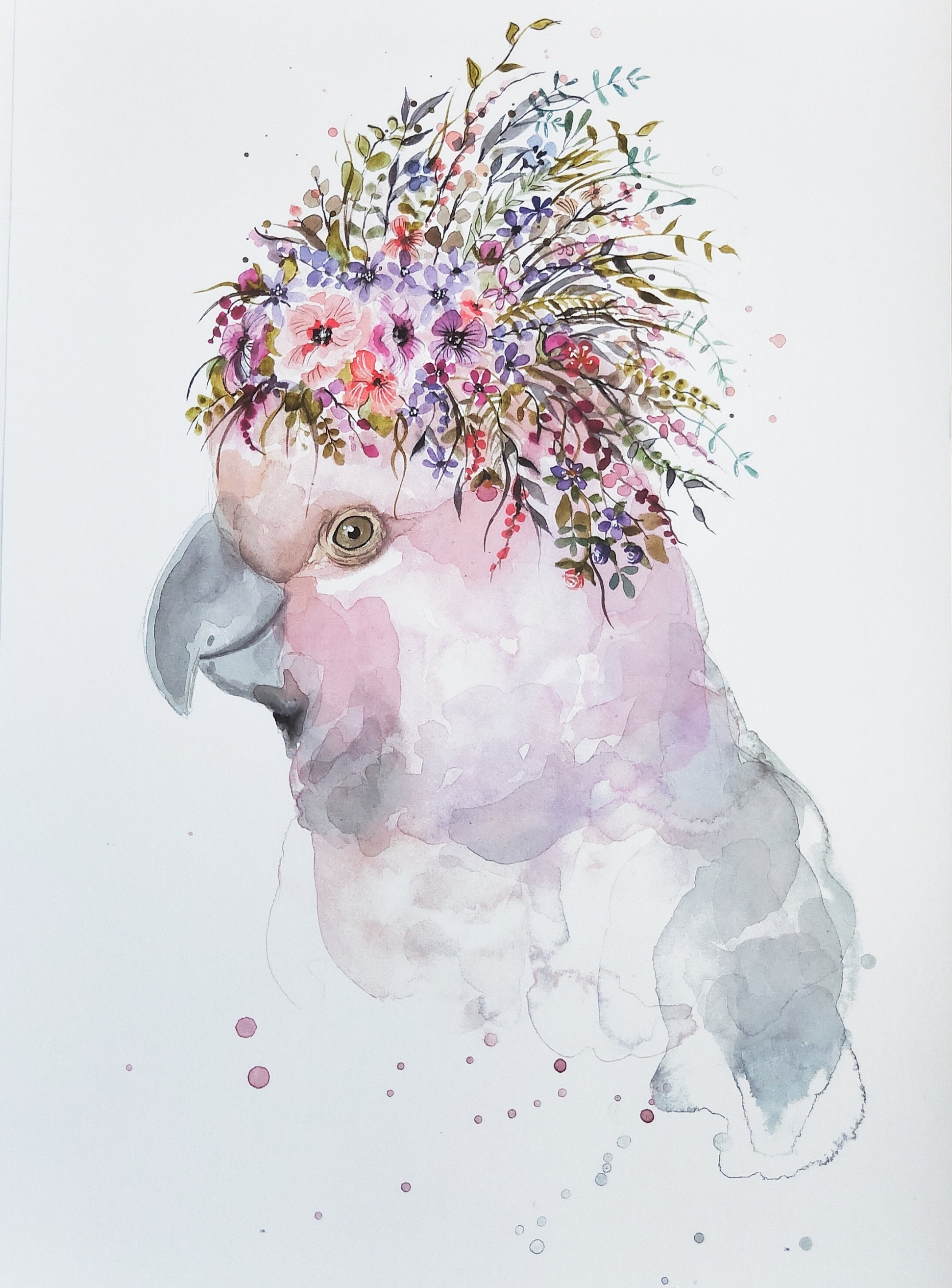 Galah Print - Etsy