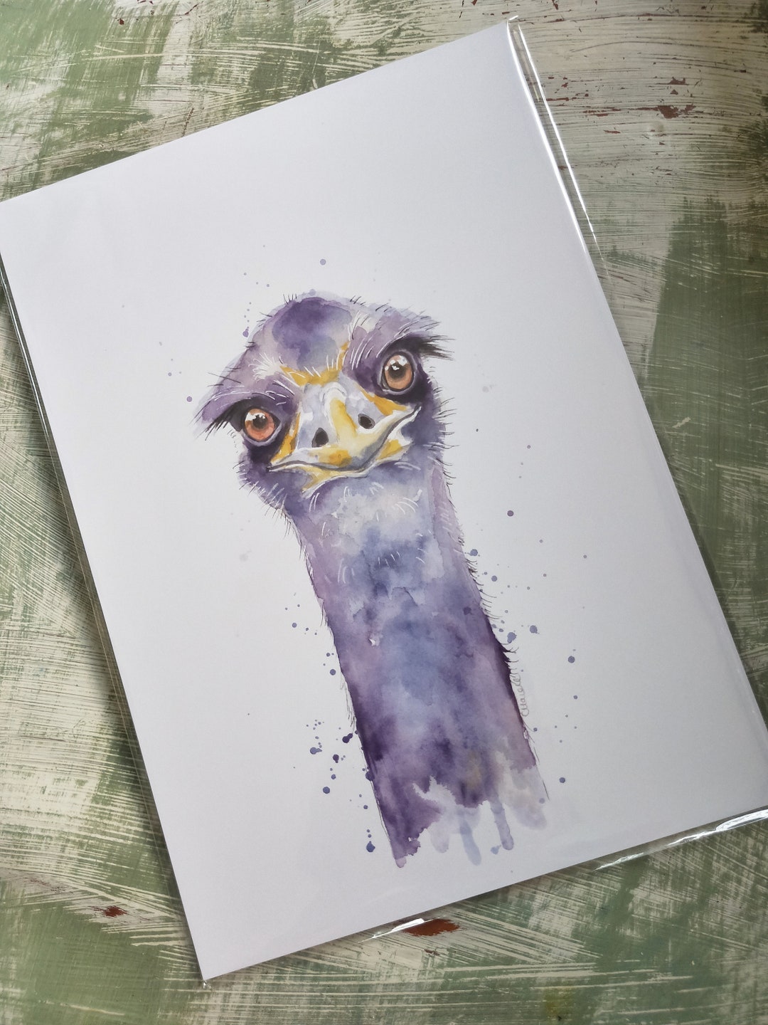 Emu Print - Etsy