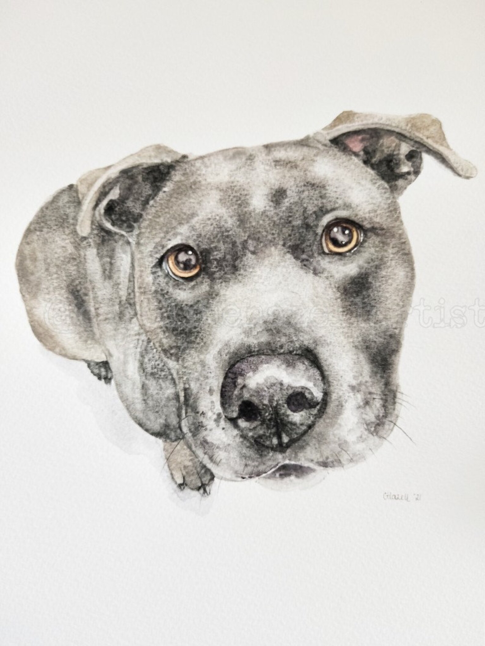 Staffy Print | Etsy