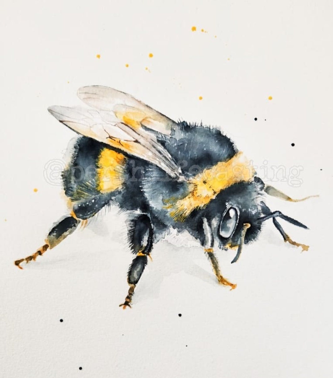 Bumble Bee Watercolour Print - Etsy Norway