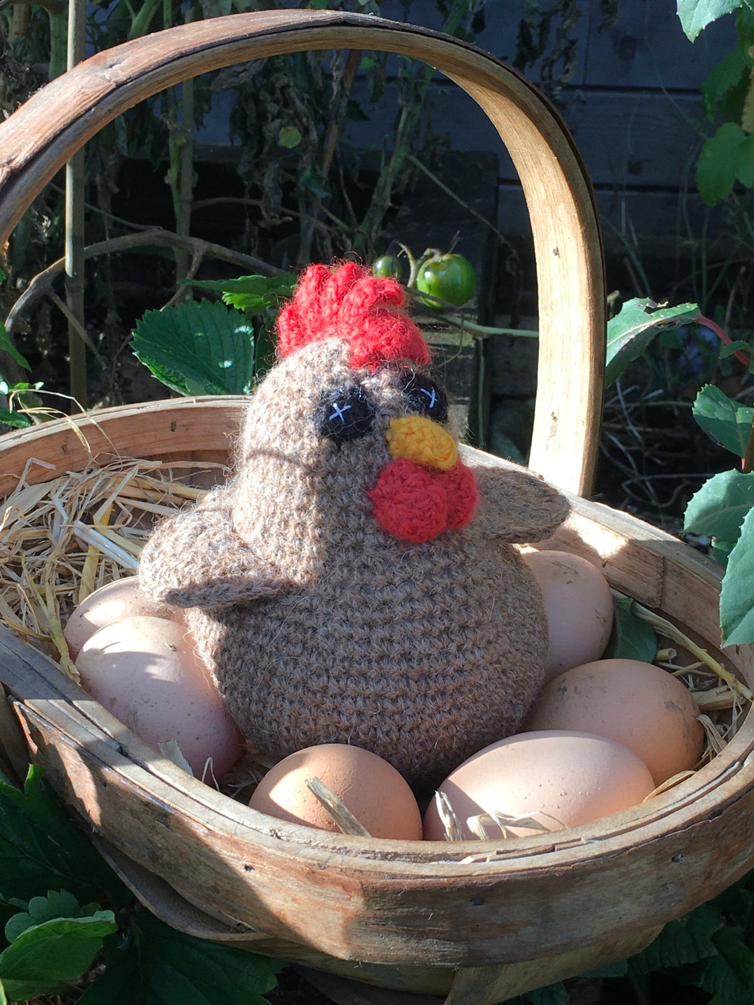 Crochet Chicken Kit - Etsy