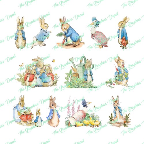 Peter Rabbit PNG Flower Clipart Bunny Sublimation Download | Etsy