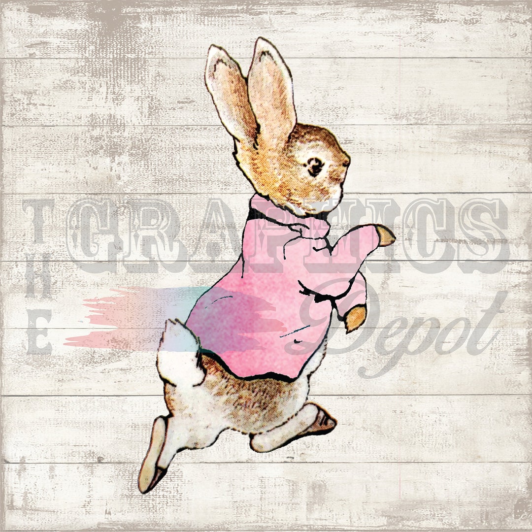 Peter Rabbit 12 Tall 300dpi PNG JPG Clipart - Etsy