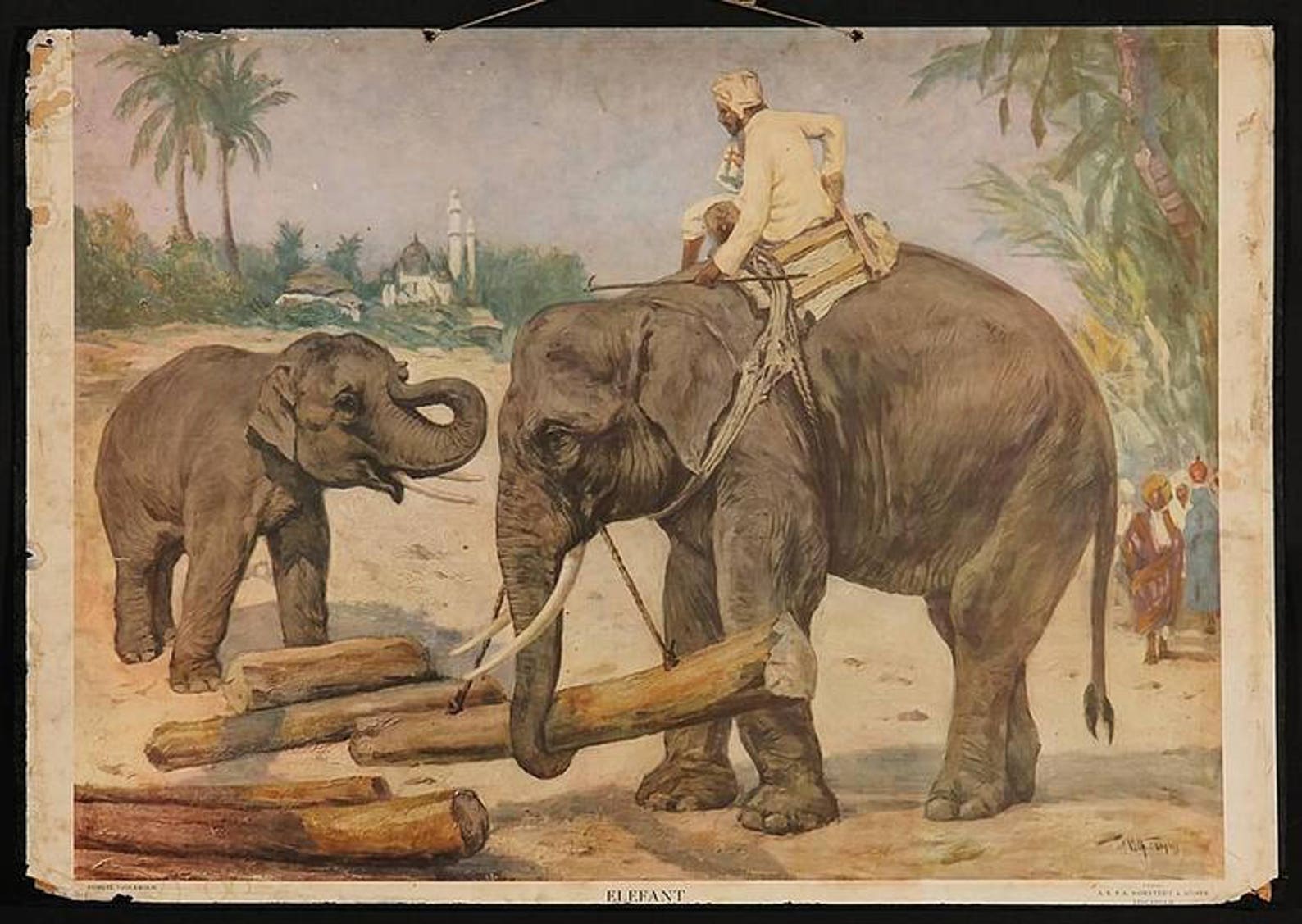 Antique German School, Teaching Chart, Poster "crocodiles" - Etsy